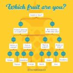 20 funny flowcharts to help you navigate life’s toughest decisions | Nulab